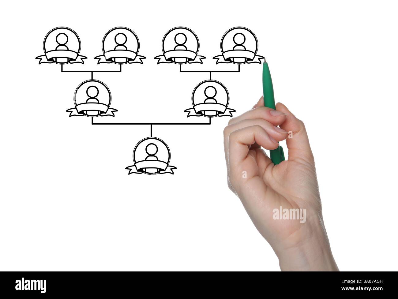 Woman drawing family tree on virtual screen against white background ...