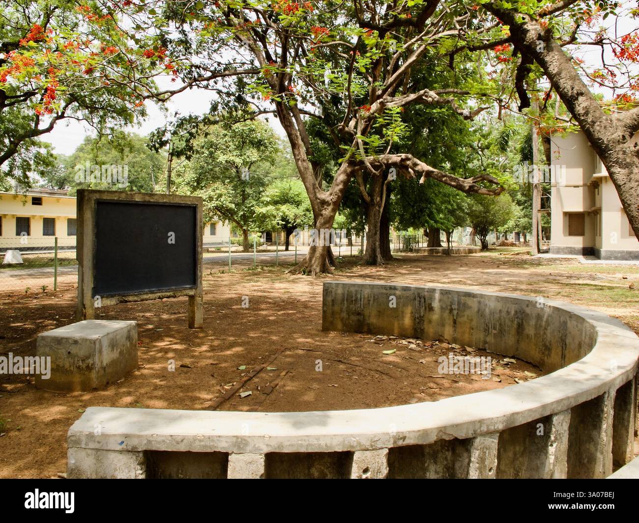 Open-air classroom under a Krishnachura (Delonix regia) tree in ...