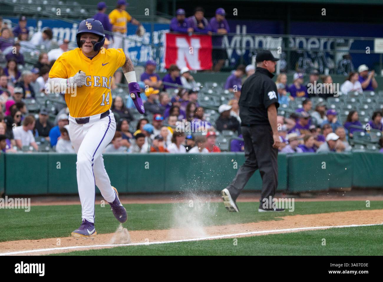 March 2, 2025, Frisco, Texas, USA: LSU infielder DANIEL DICKINSON (14 ...