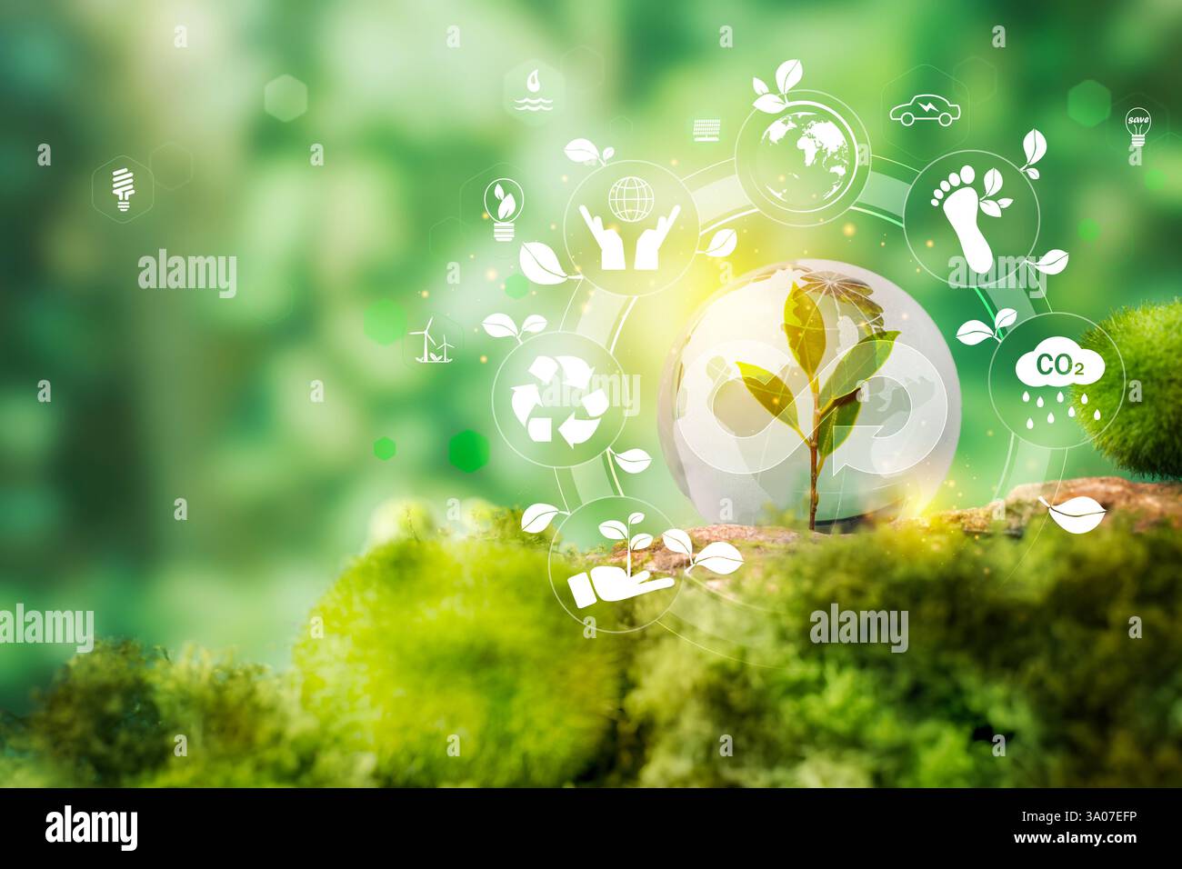 2025 ESG environmental, social and governance in the sustainable green ...