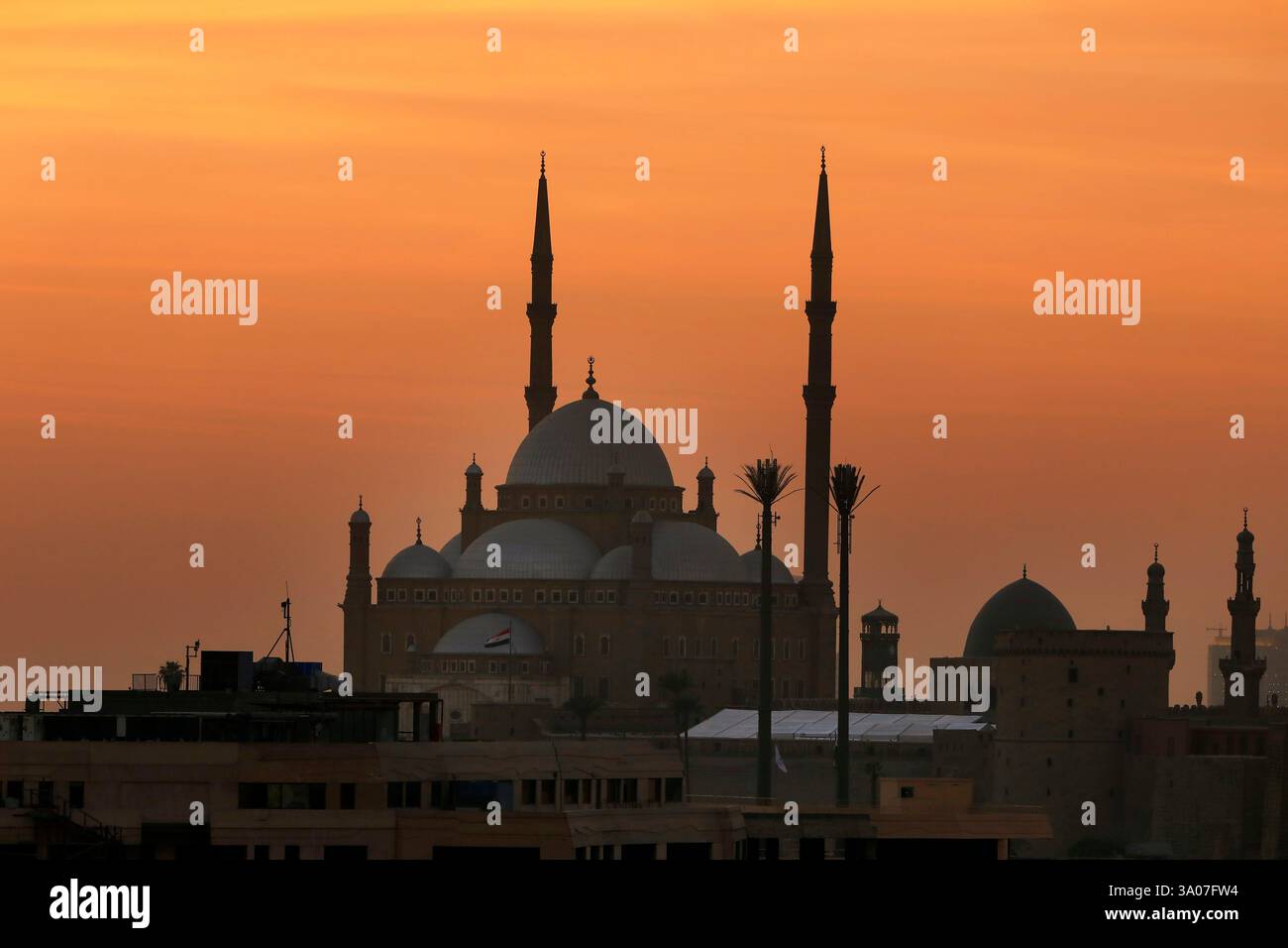 (250303) -- CAIRO, March 3, 2025 (Xinhua) -- This photo taken on March ...