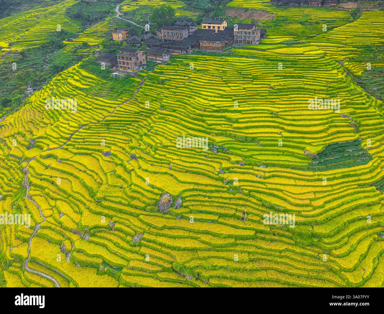 Aerial view of the countryside houses surrounded by yellow and green ...