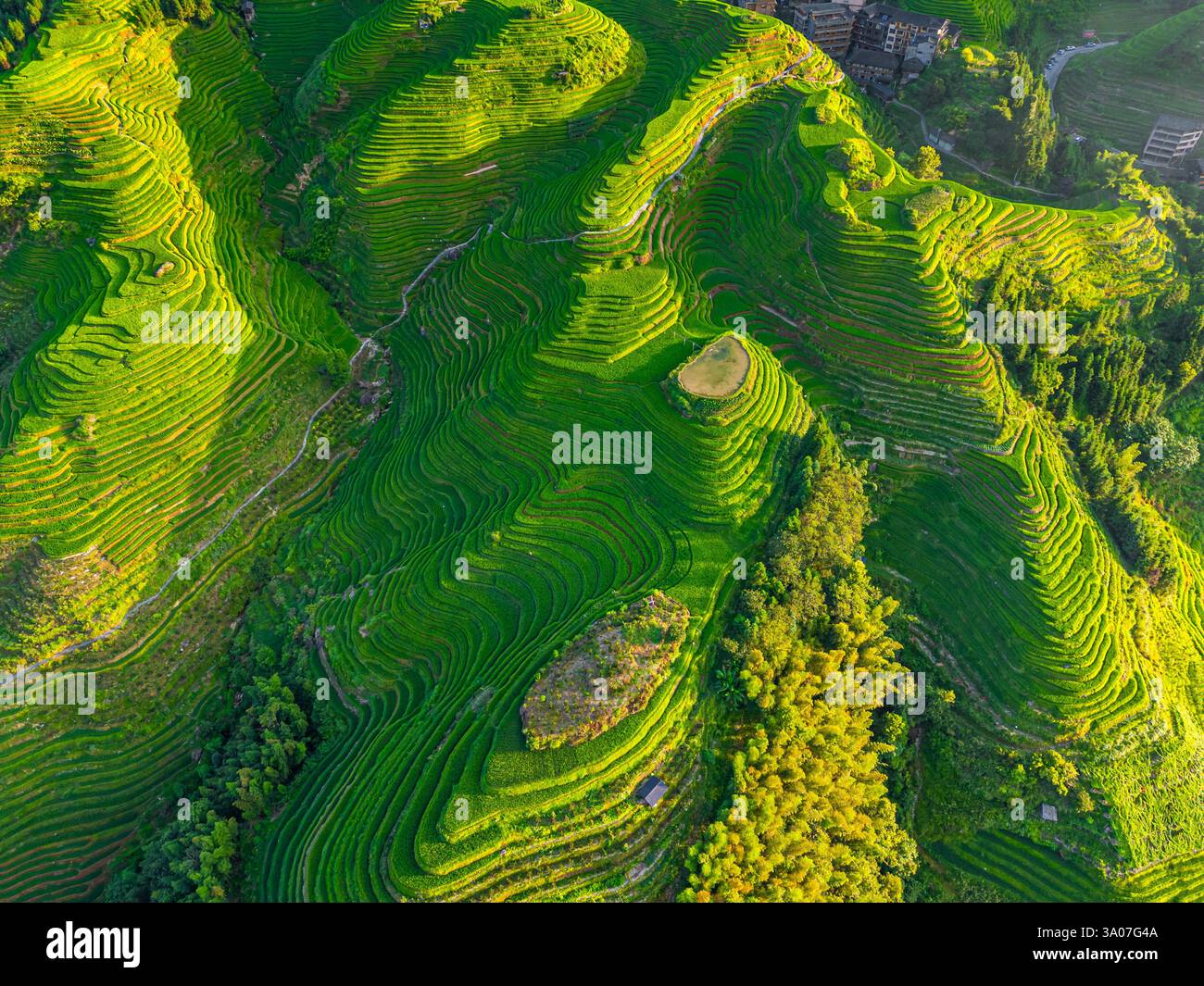 Mountain, village and rice terraces at Longji Rice Terraces in China ...