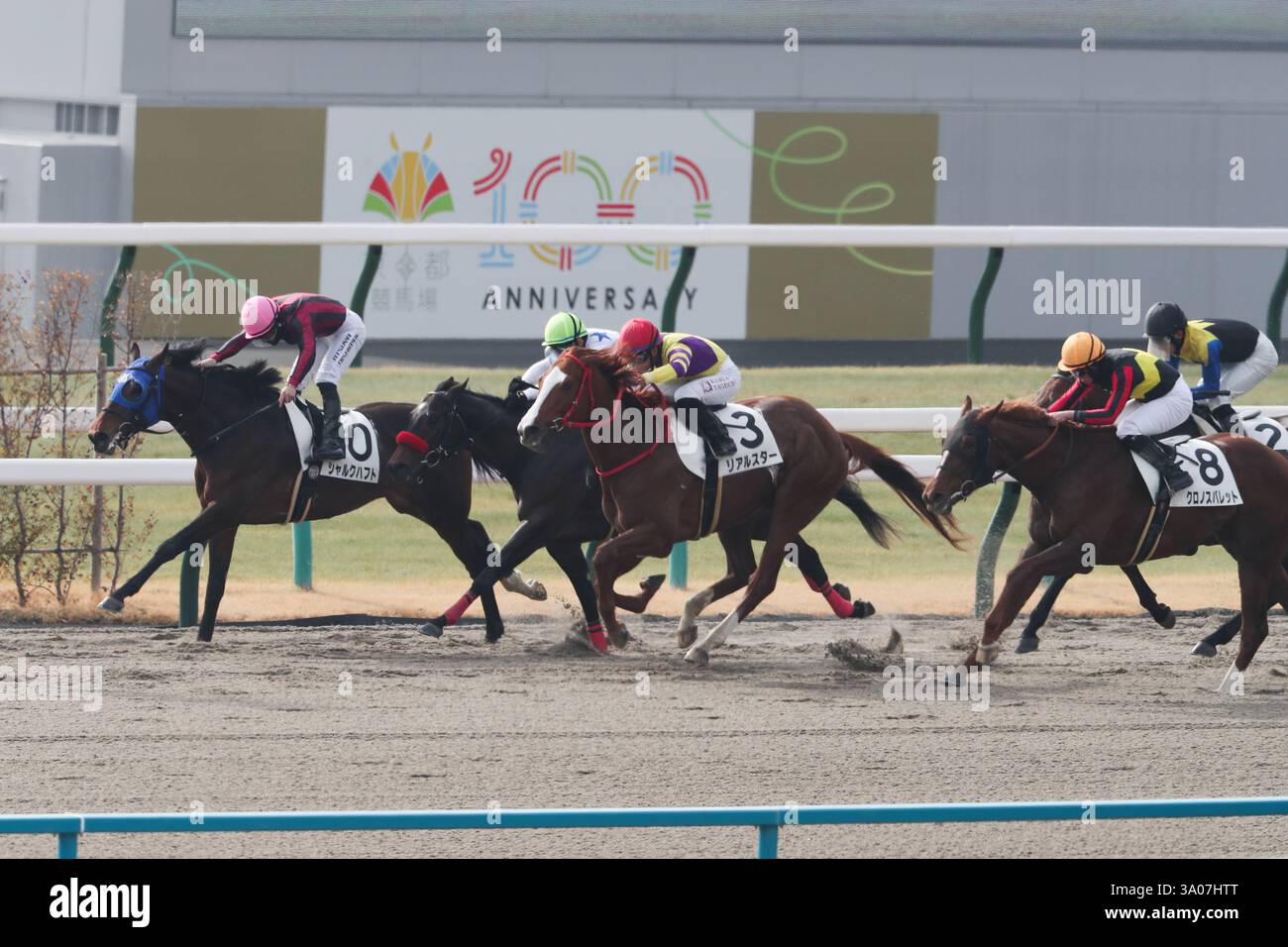 2025/02/16 KYOTO 01R Schalkhaft/Atsuya Nishimura Jockey Chuwa Chief ...