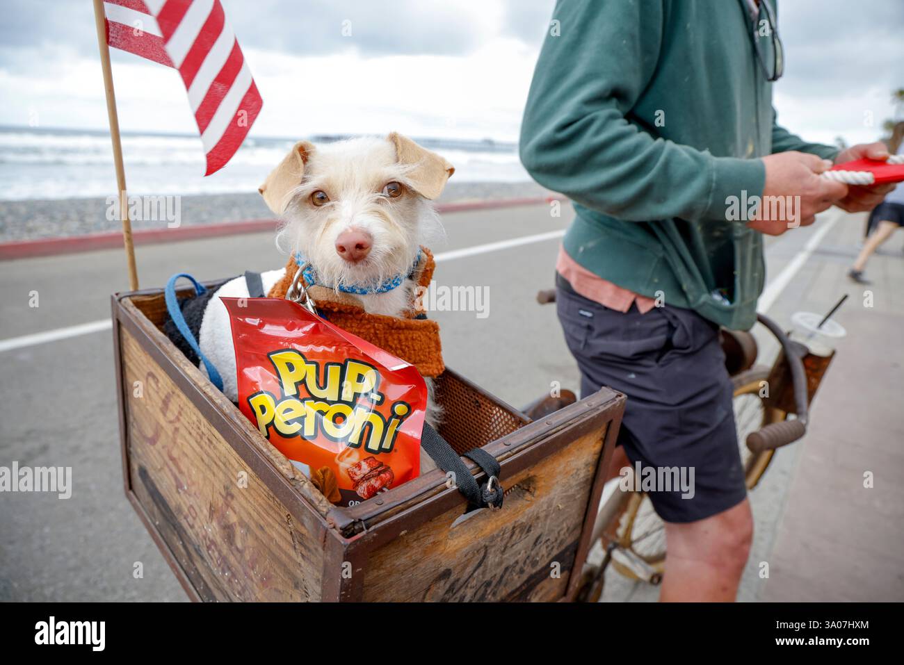 IMAGE DISTRIBUTED FOR PUP-PERONI - Wayne Short and Influencer, Caitlin ...