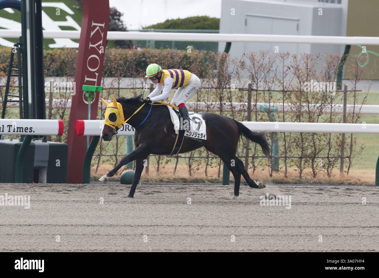 2025/02/16 KYOTO 03R Nishino Jedi / Kenichi Ikezoe Jockey Kyoto ...
