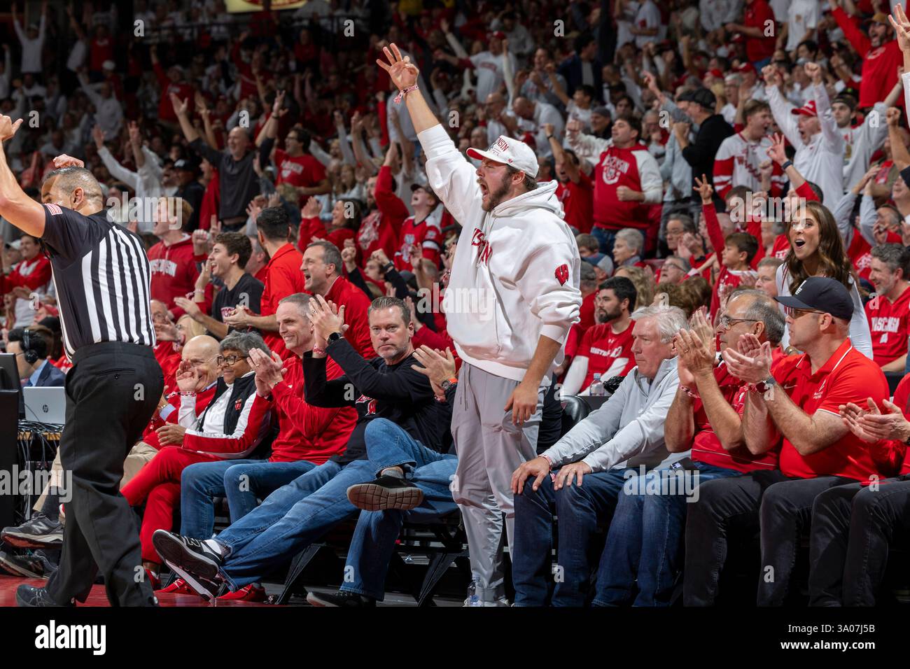 Wisconsin Badger fans cheer during an NCAA college men's basketball ...