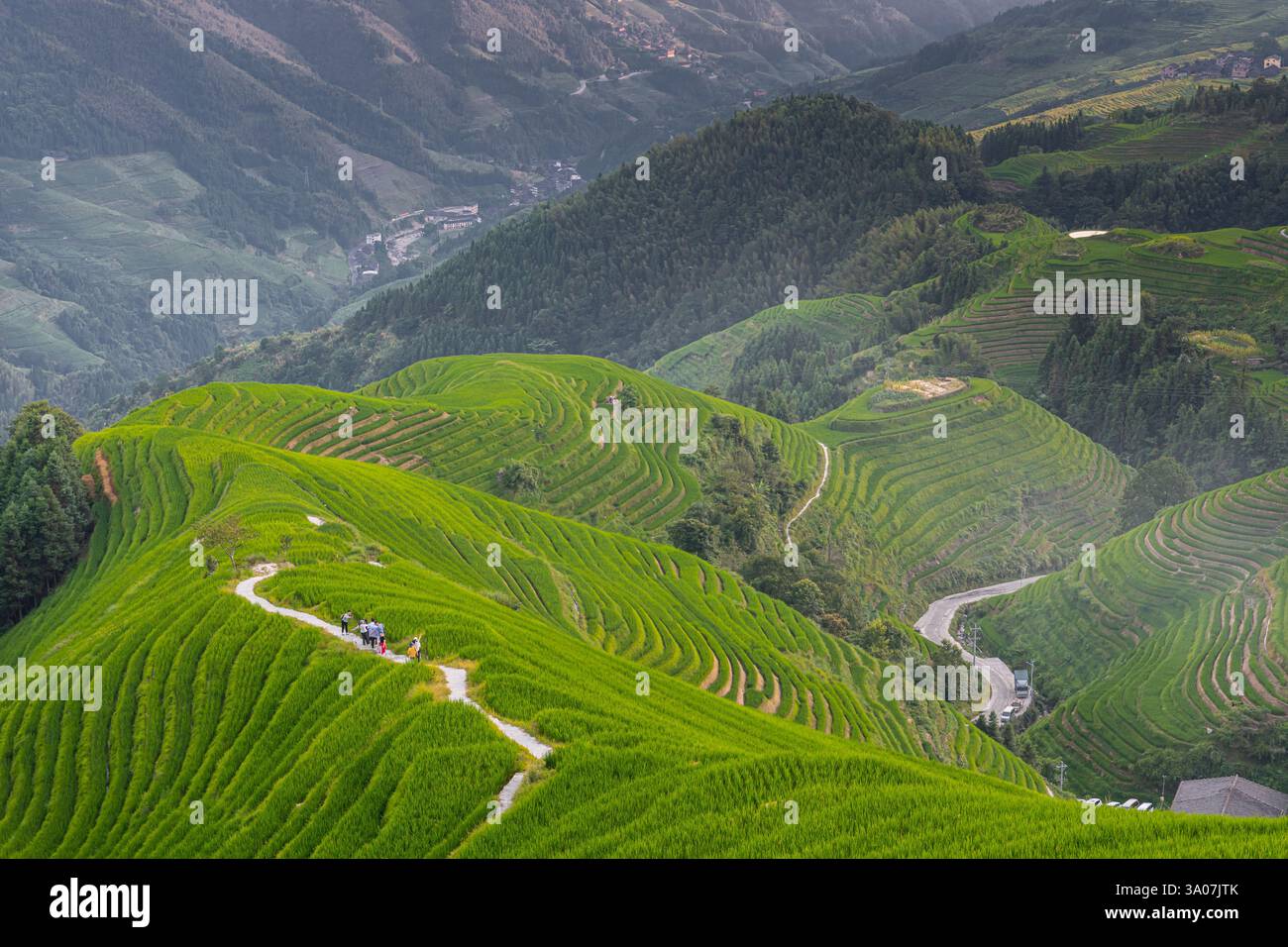 Longji Rice terraces on Yaoshan Mountain in Guangxi, China, sunrise ...