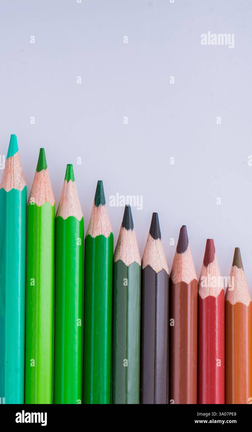 Color Pencils of Various colors placed on white background Stock Photo ...