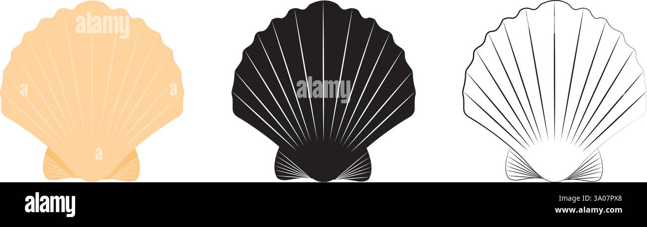 Scallop seashell logo. Isolated silhouette and contour drawing of a ...