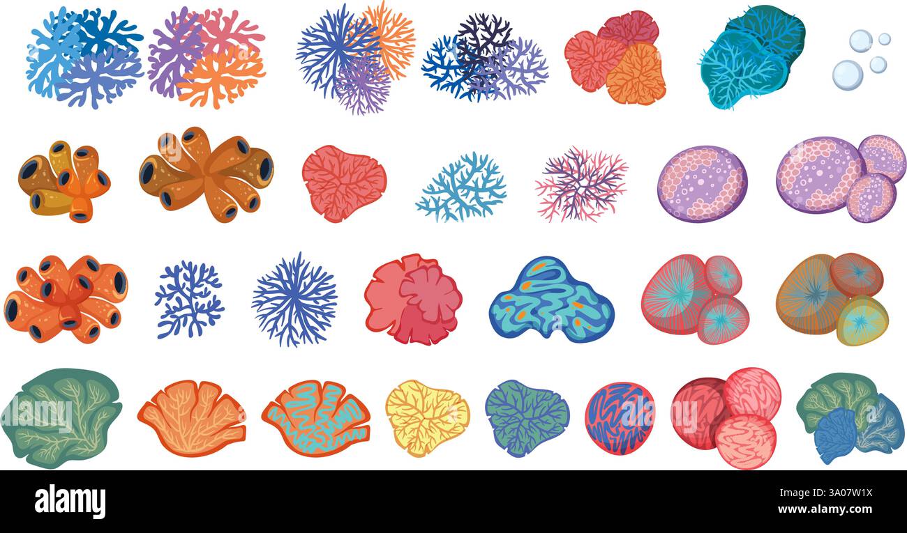 Diversity of marine life forms hi-res stock photography and images - Alamy