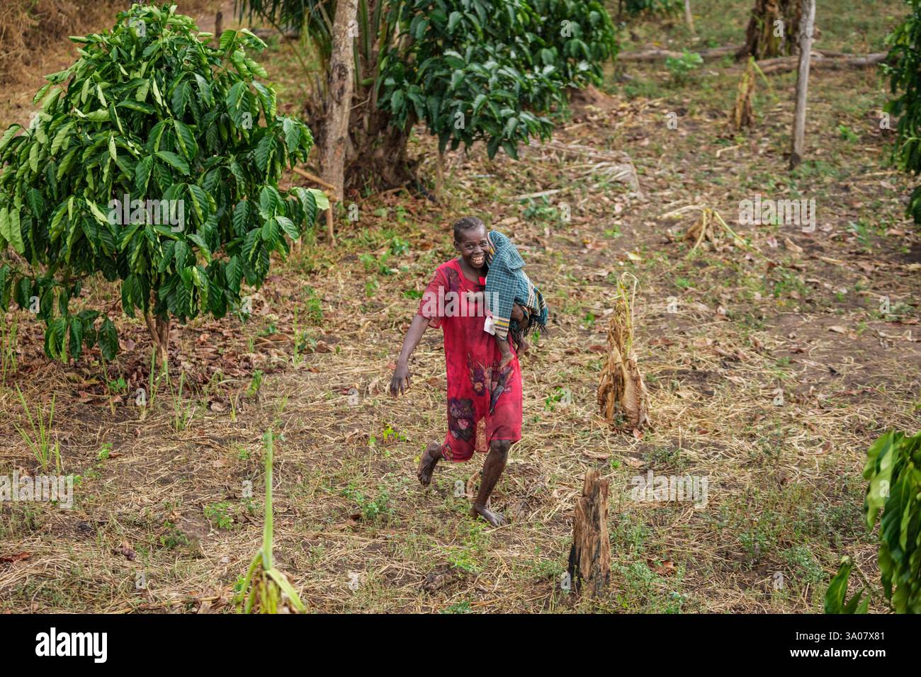 Catherine Bashiama, a farmer, walks through her coffee plantation that ...