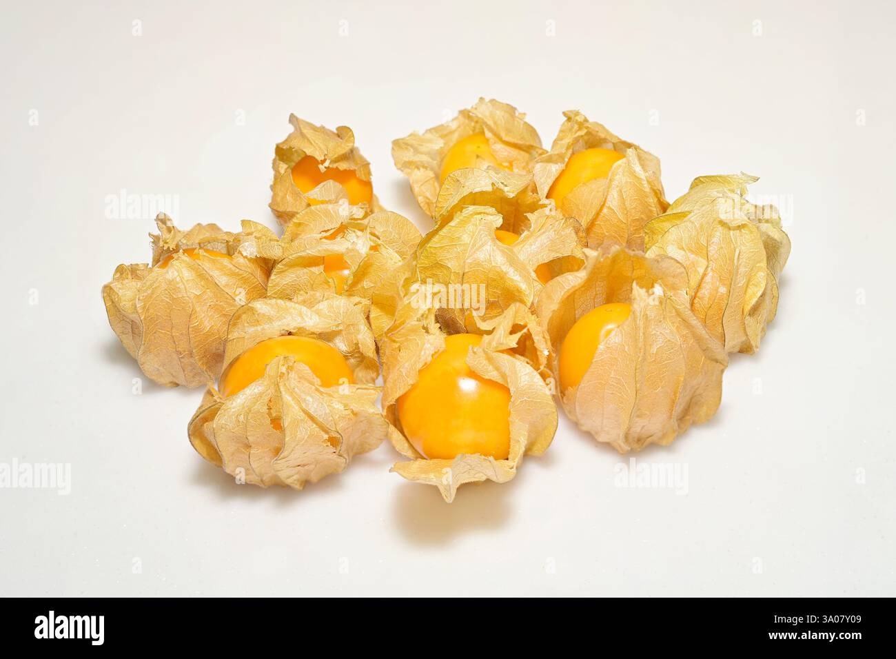 Whole cape gooseberry fruits with inflated, papery calyx enclosing each ...