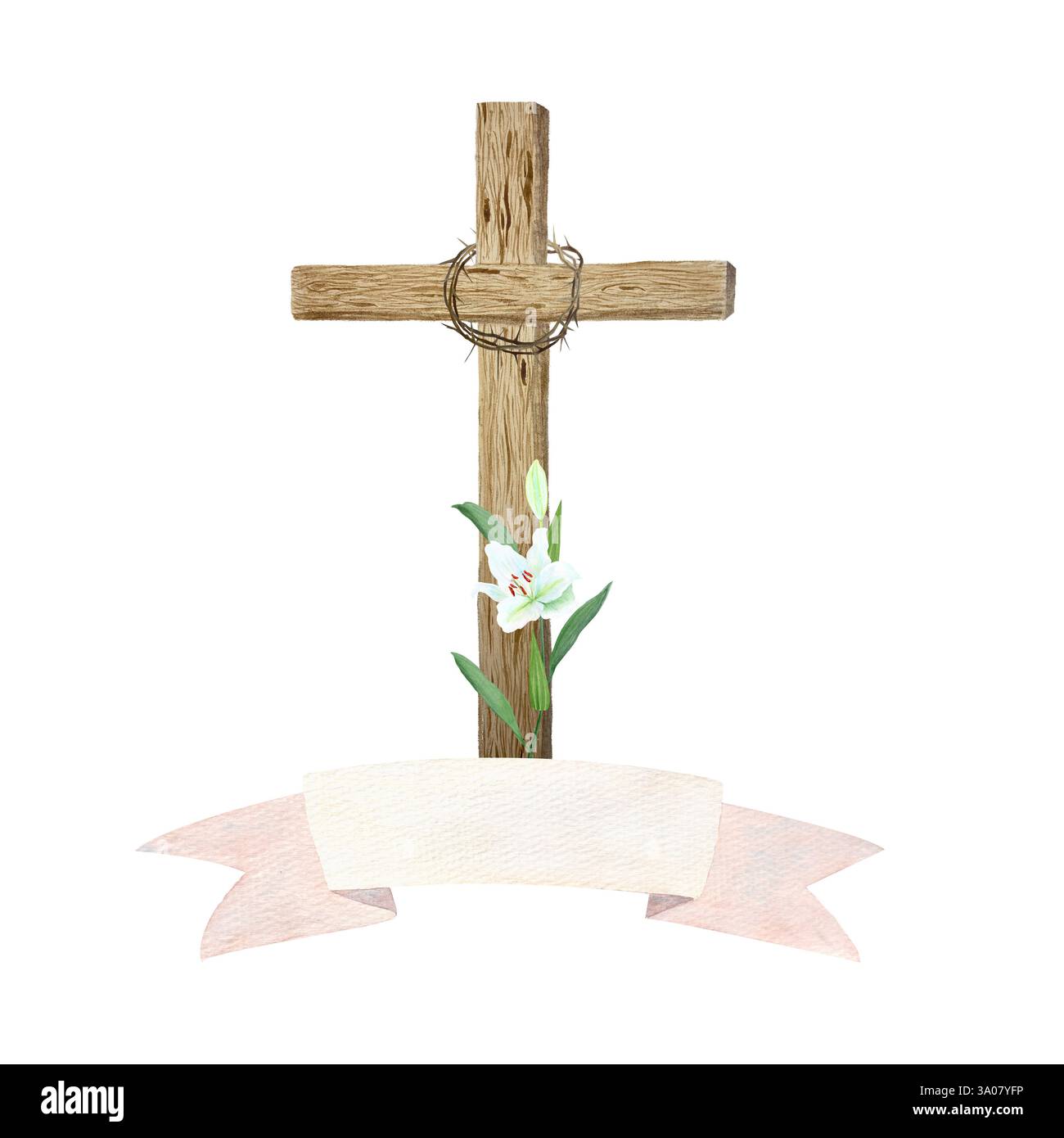 Risen crown thorns on Cut Out Stock Images & Pictures - Alamy