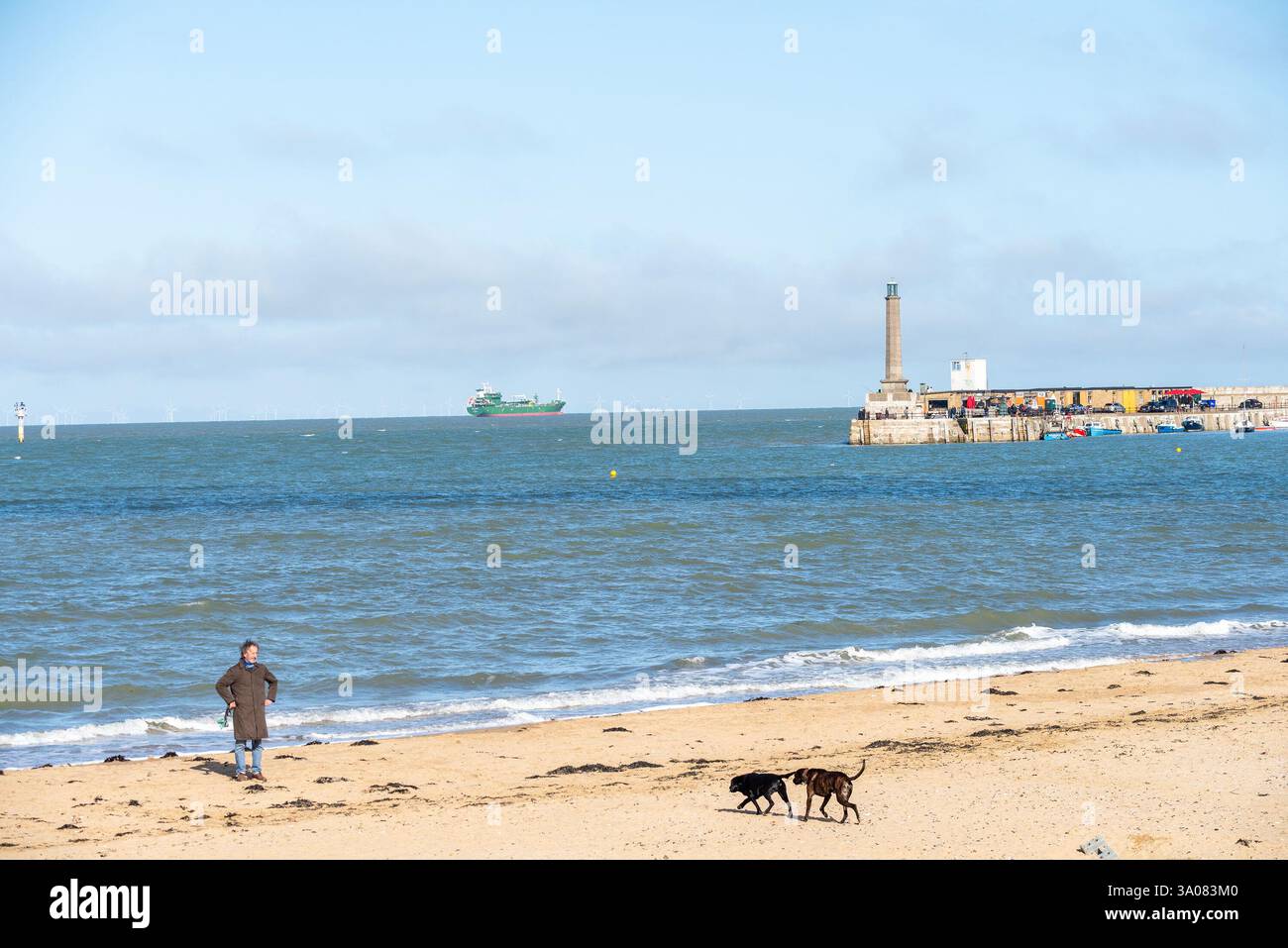 Margate, UK. 01st Mar, 2025. A man walks with his dogs on the Margate ...