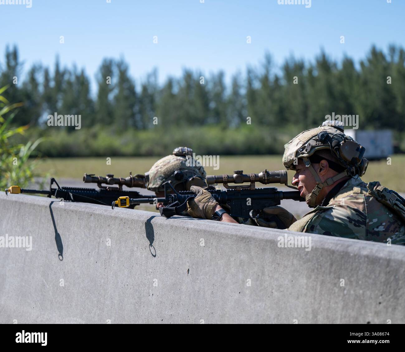 Exercise mosaic gecko ii hi-res stock photography and images - Alamy