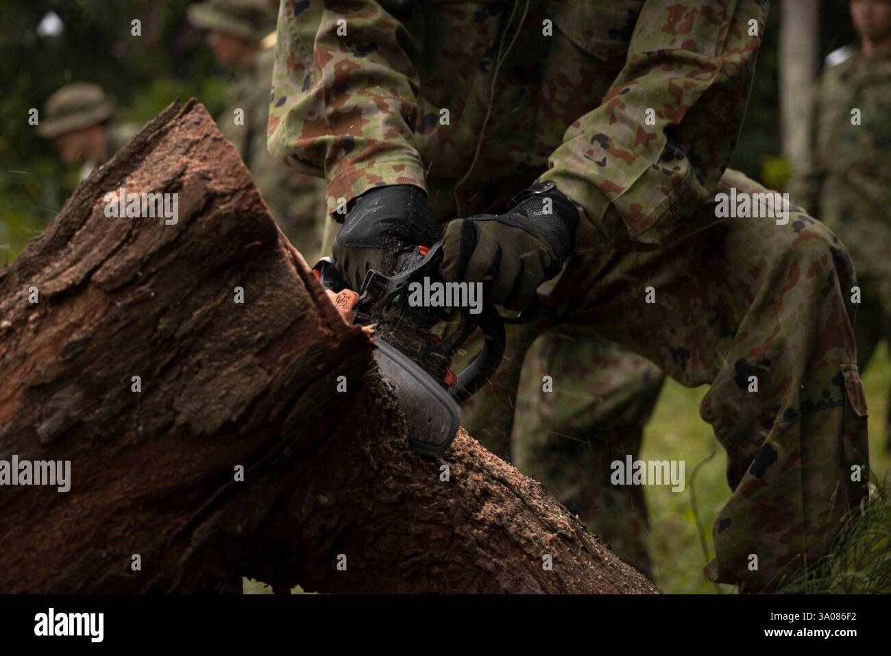 A Japan Ground Self-Defense Force soldier cuts a tree during a ...