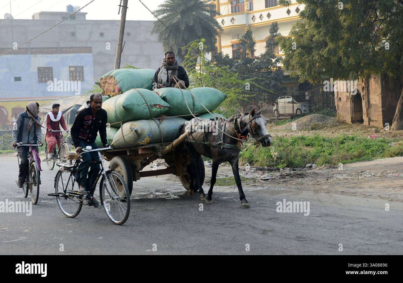 Transporting goods on a horse cart in Kannauj, Uttar Pradesh, India ...