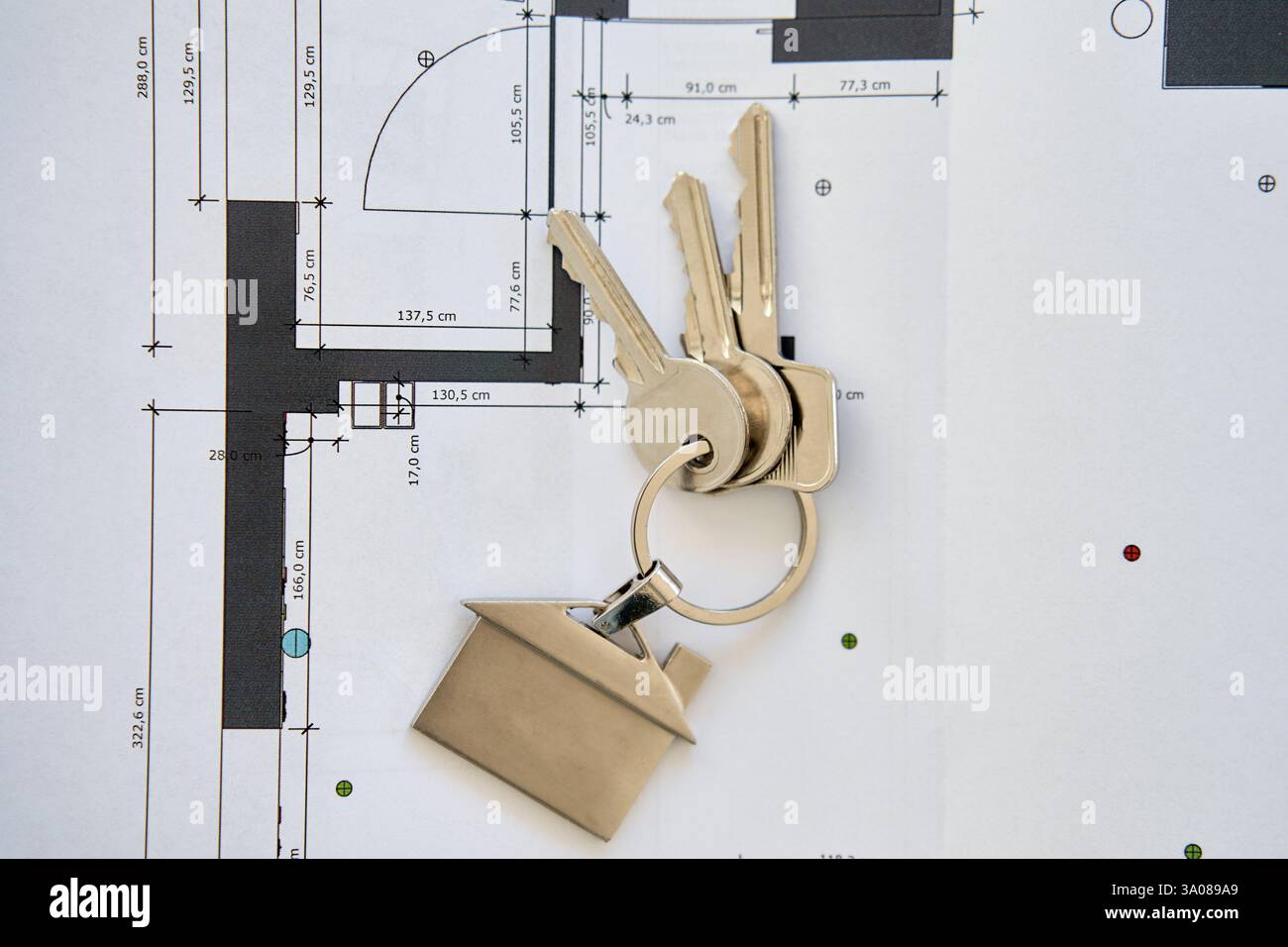 Set of house keys with keychain in shape of home placed on ...