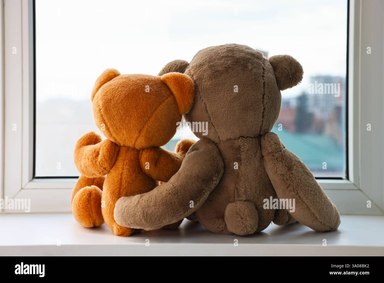 Two cute teddy bears near window indoors, back view Stock Photo - Alamy
