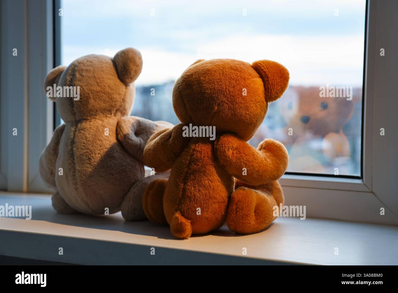 Two cute teddy bears near window indoors, back view Stock Photo - Alamy