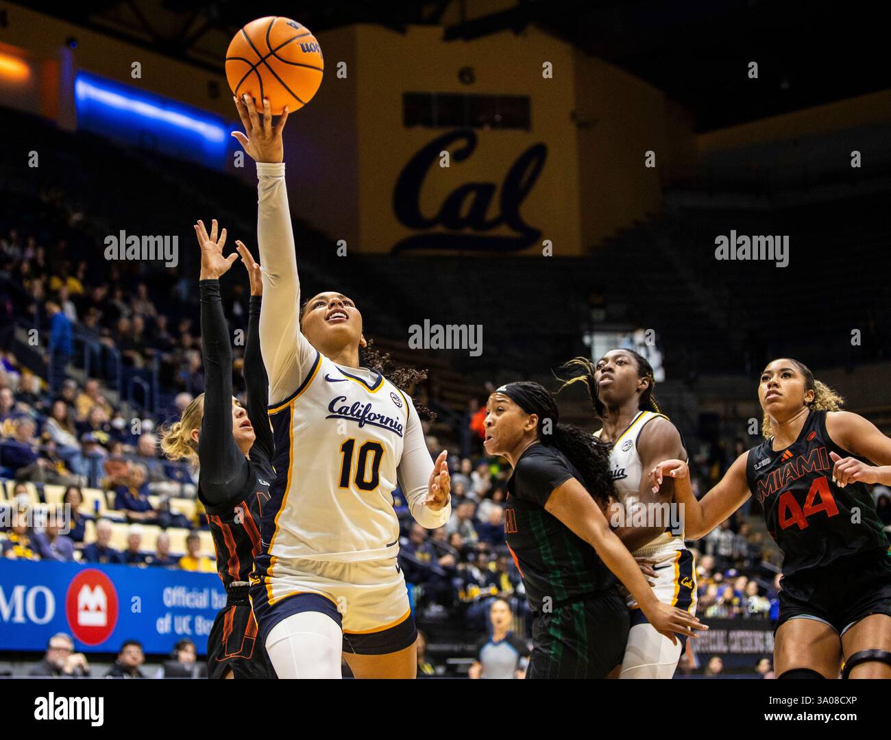 March 02 2025 Berkeley CA, USA California Golden Bears guard Lulu ...