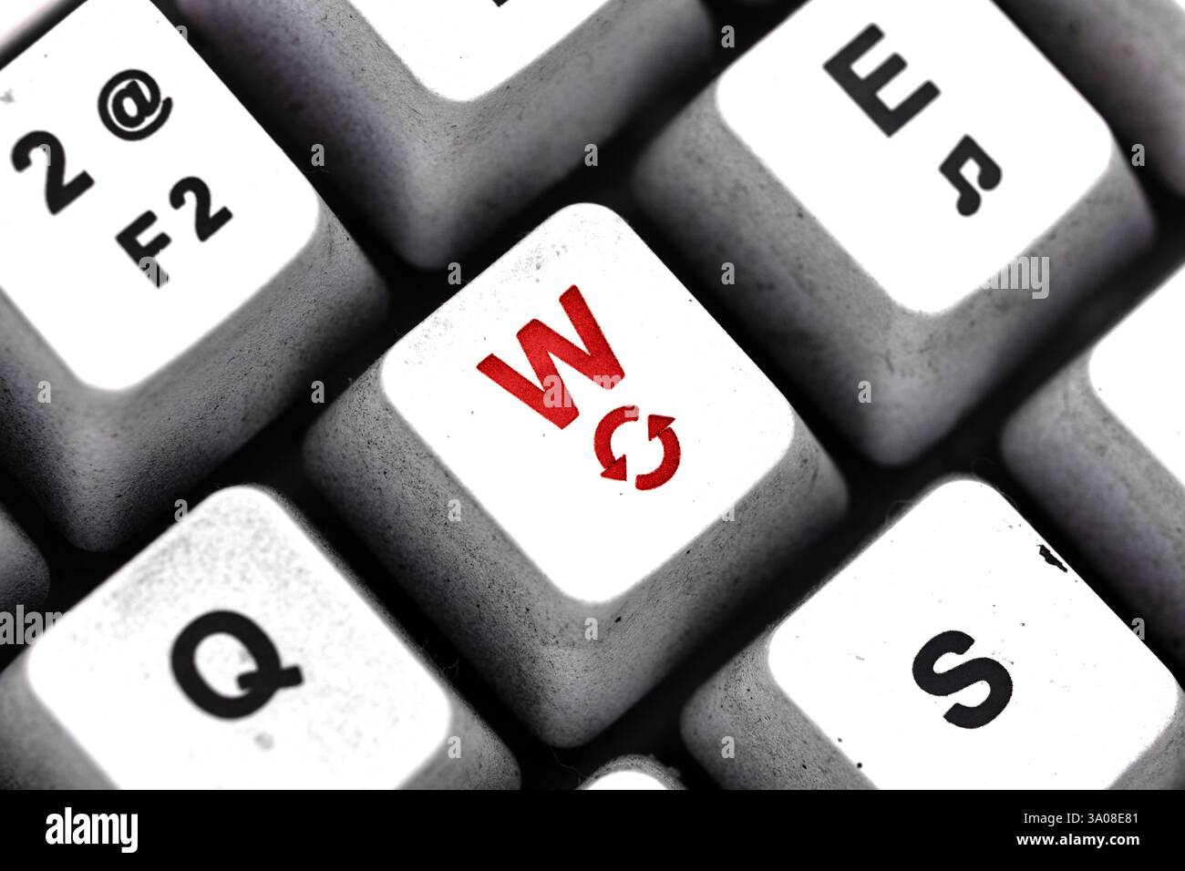 big W in red, letter W, W button keyboard. Keyboard keys in macro Stock ...