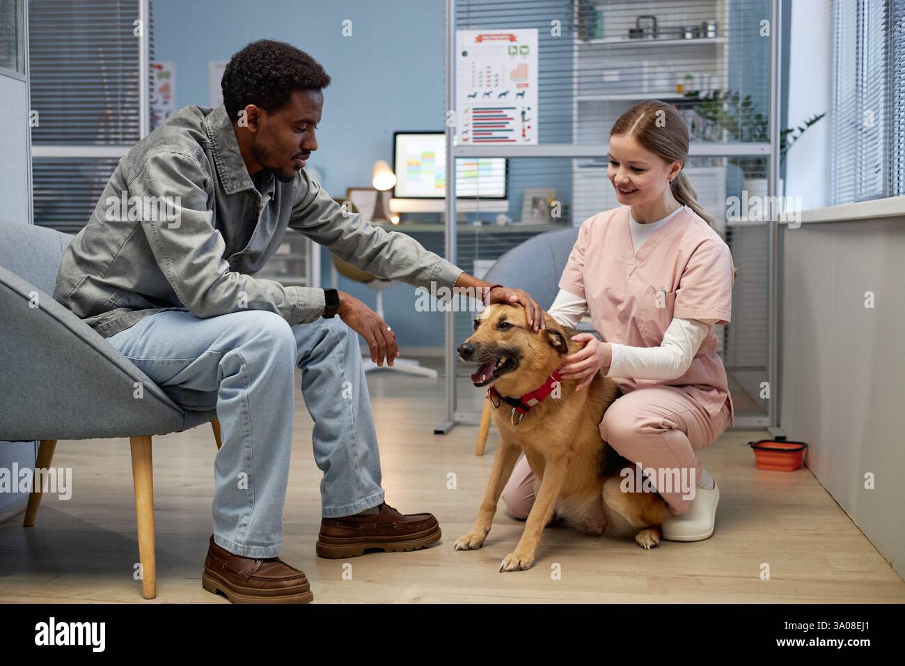 Full length shot of smiling female veterinarian cuddling with calm ...