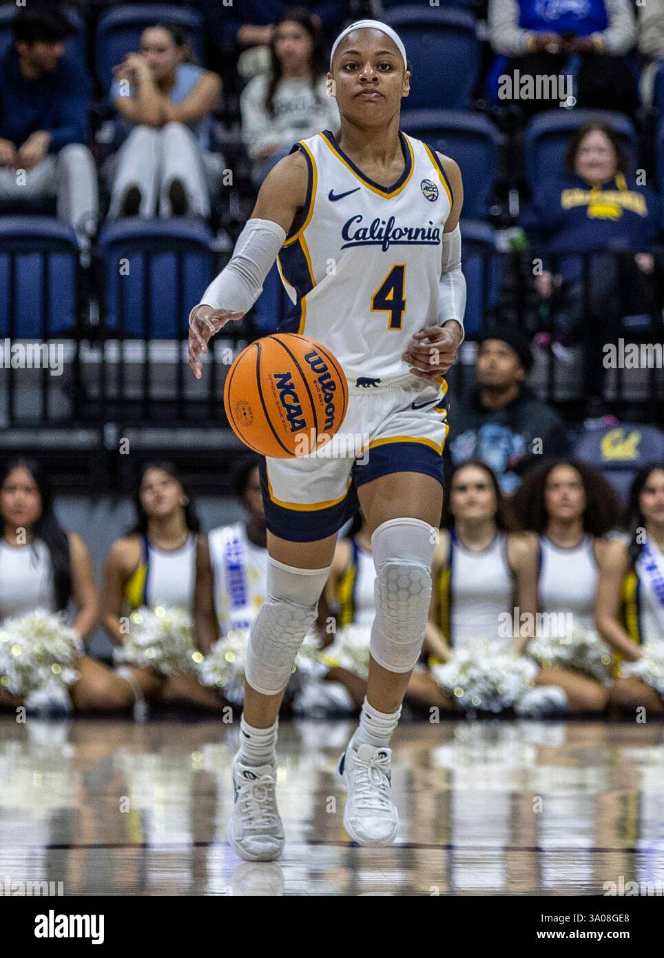 2025 0384 jpg hi-res stock photography and images - Alamy