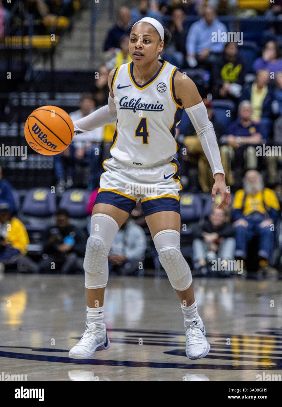 2025 0544 jpg hi-res stock photography and images - Alamy