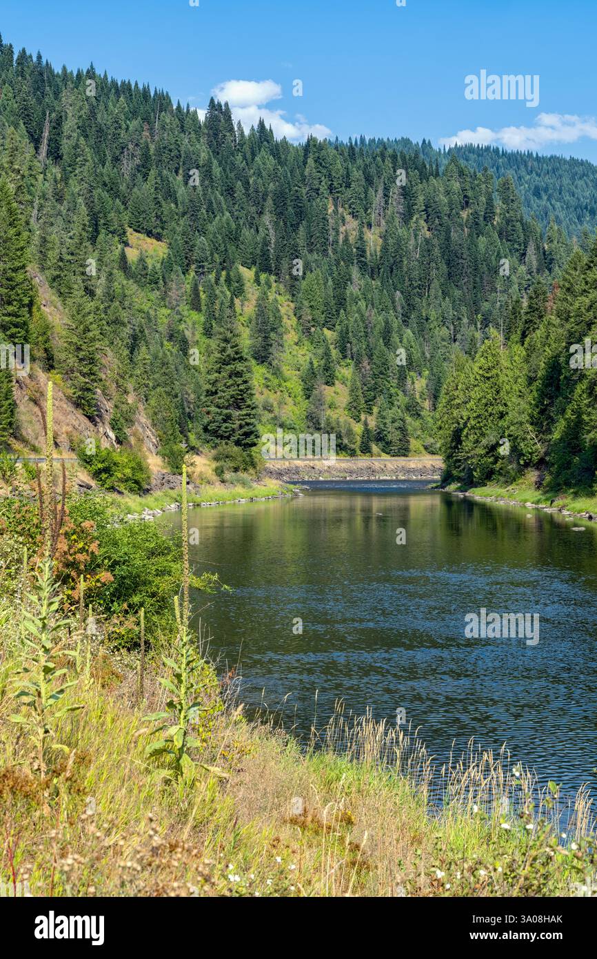 The Lochsa River flows through the canyon in the Clearwater National ...