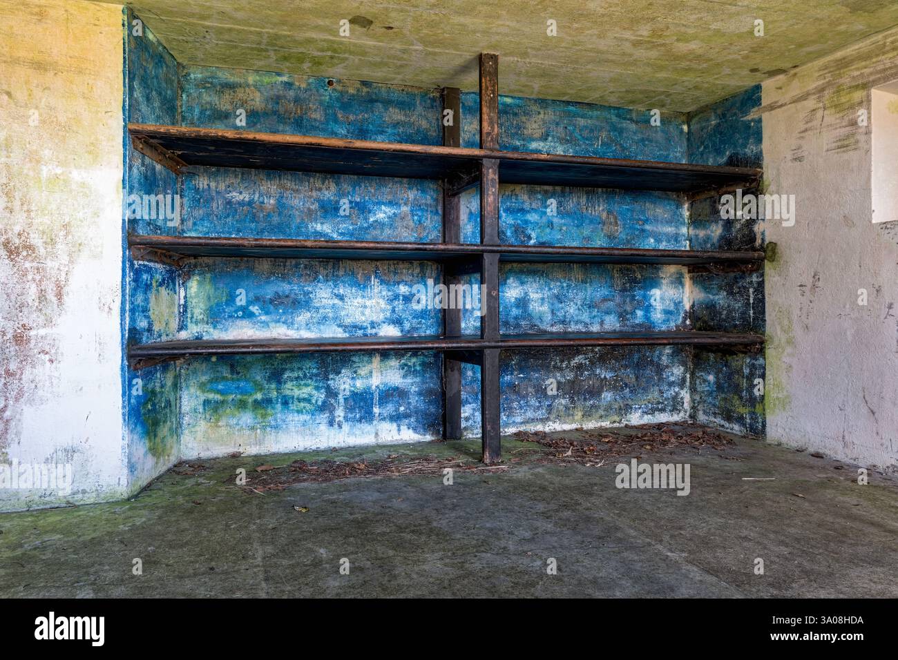 Wooden shelves in a concrete storeroom at an abandoned WWII military ...