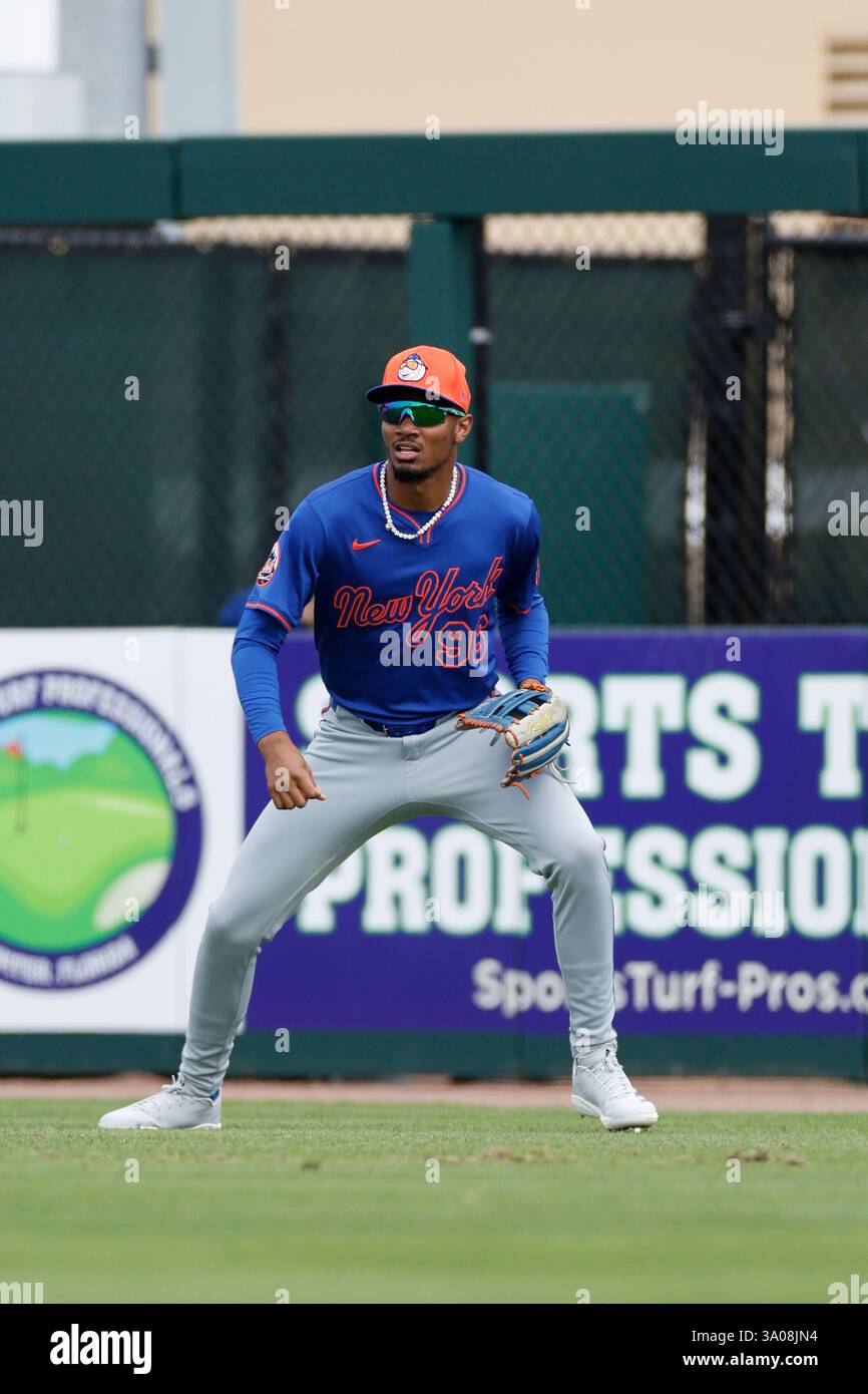 JUPITER, FL - FEBRUARY 26: New York Mets outfielder Alex Ramírez (96 ...