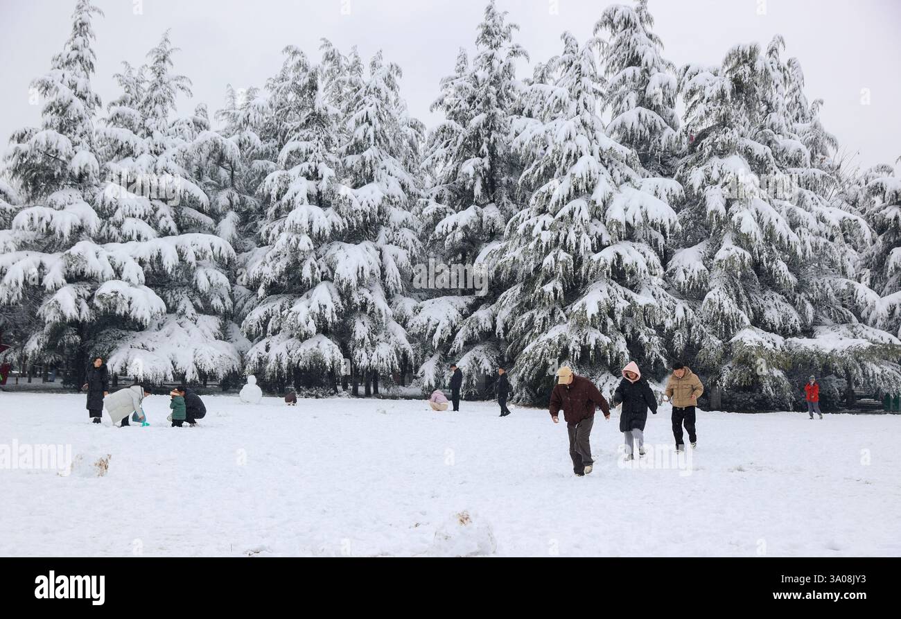 Citizens enjoy the snow scenery at Shanzhou Park in Sanmenxia, Central ...