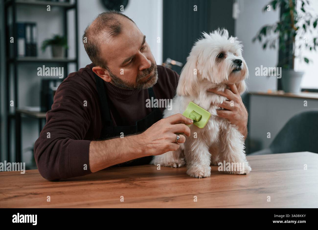 Brushing the hair. Man in casual clothes is indoors with his cute ...