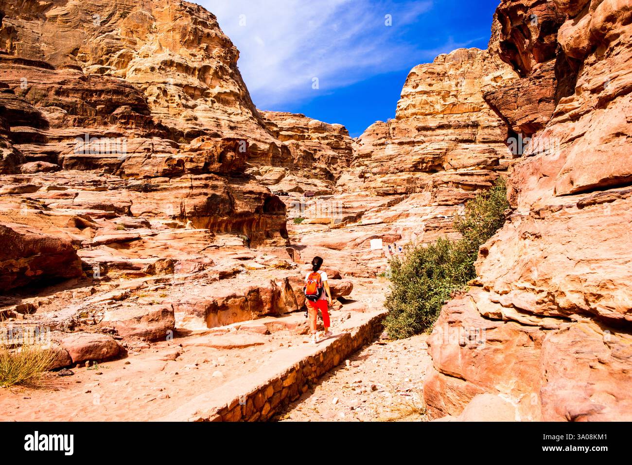 Amazing rock formation and color in Petra Stock Photo - Alamy