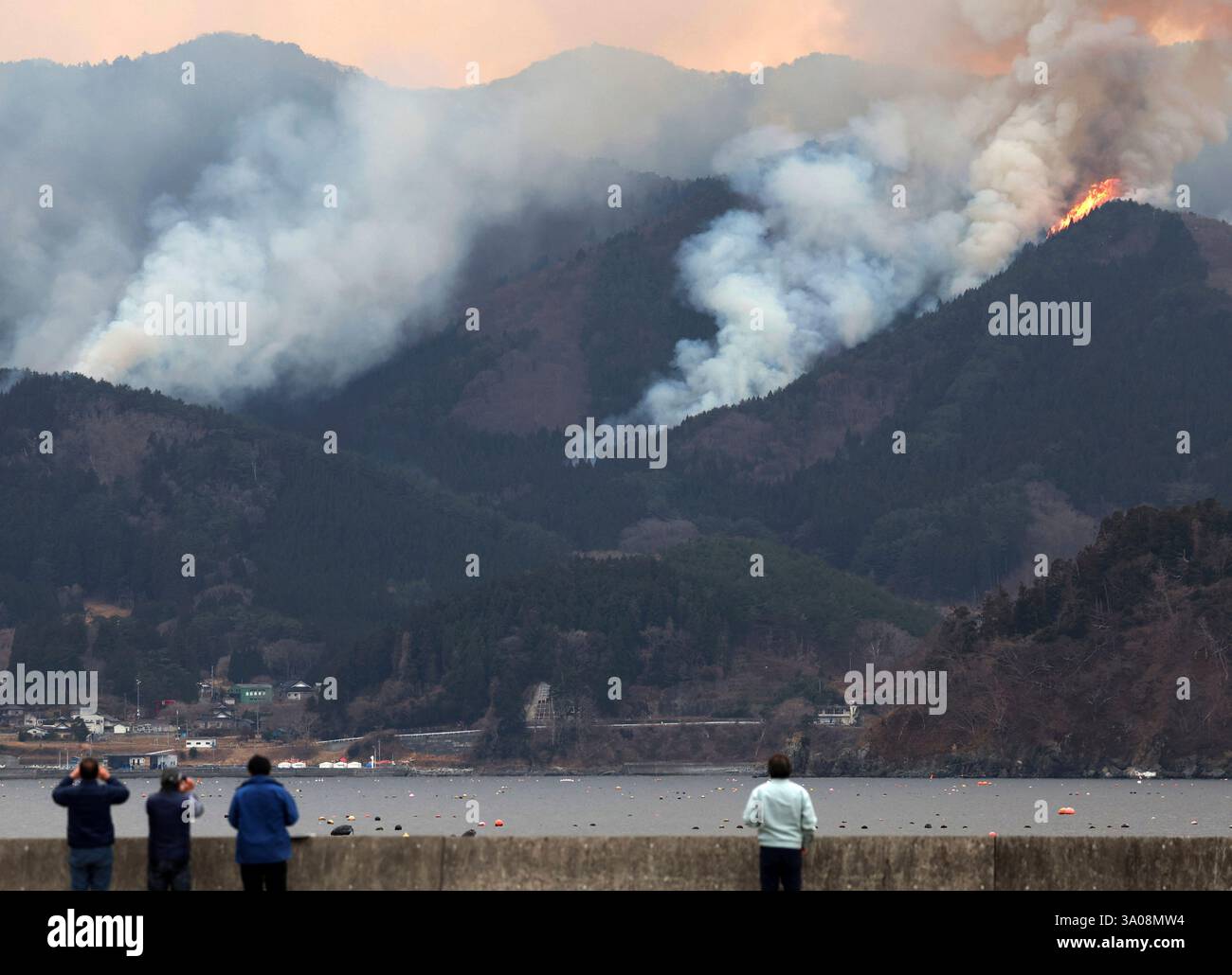 The forest fire that broke out on the 26th continues to spread and ...