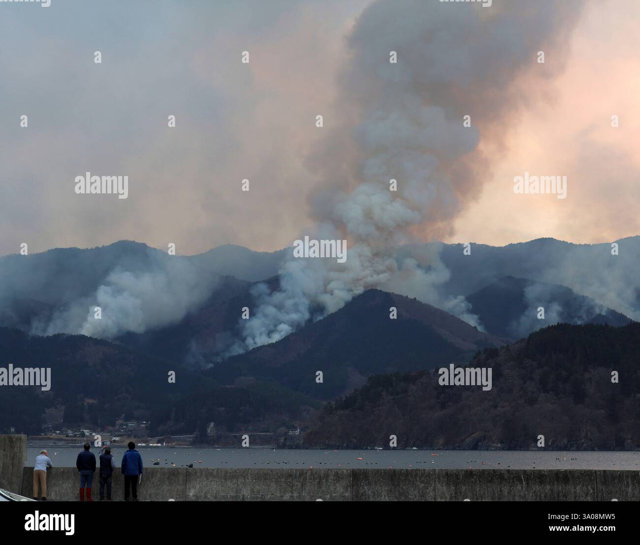 The forest fire that broke out on the 26th continues to spread and ...