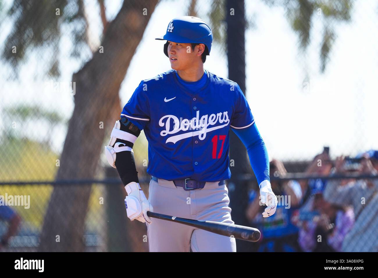 Shohei Ohtani (Dodgers), February 26, 2025 - MLB : Los Angeles Dodgers ...