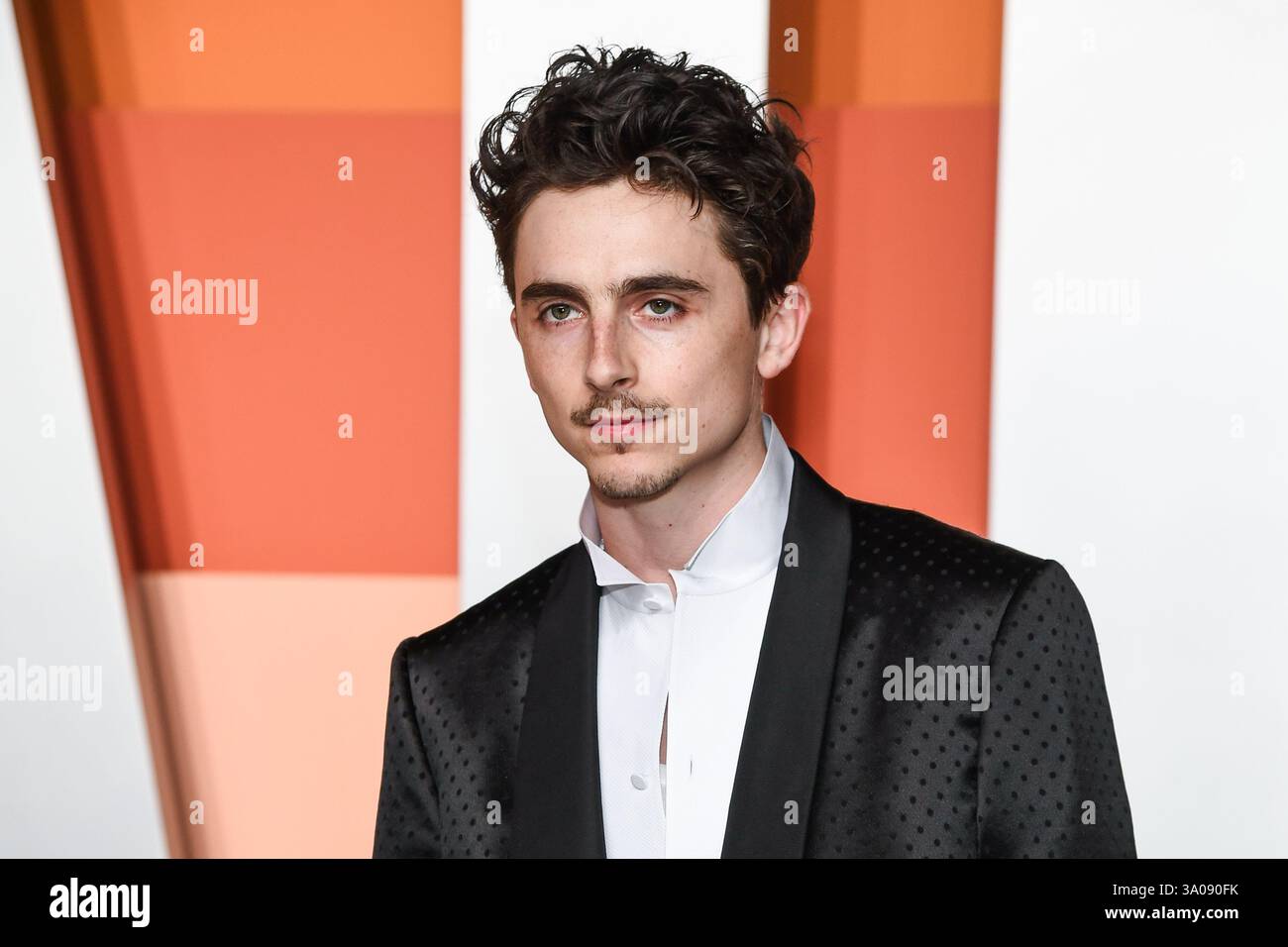 Timothee Chalamet walking on the red carpet at the 2025 Vanity Fair ...