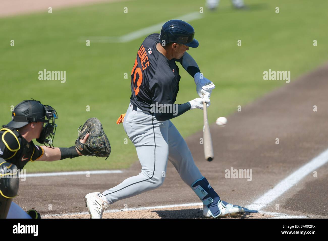 Bradenton, FL: Detroit Tigers left fielder Jahmai Jones (70) fouls off ...