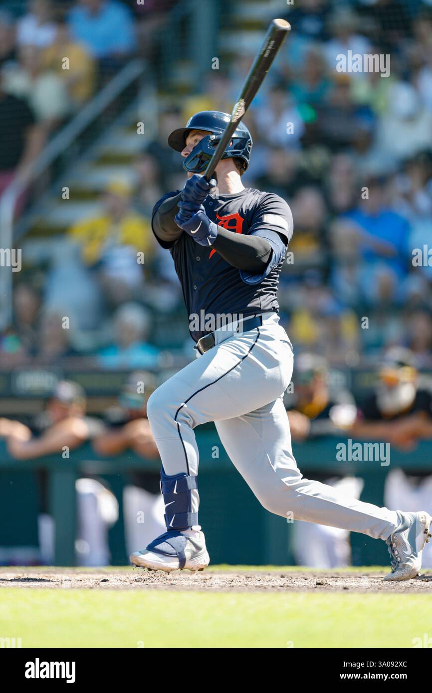 Bradenton, FL: Detroit Tigers catcher Dillon Dingler (13) doubles to ...