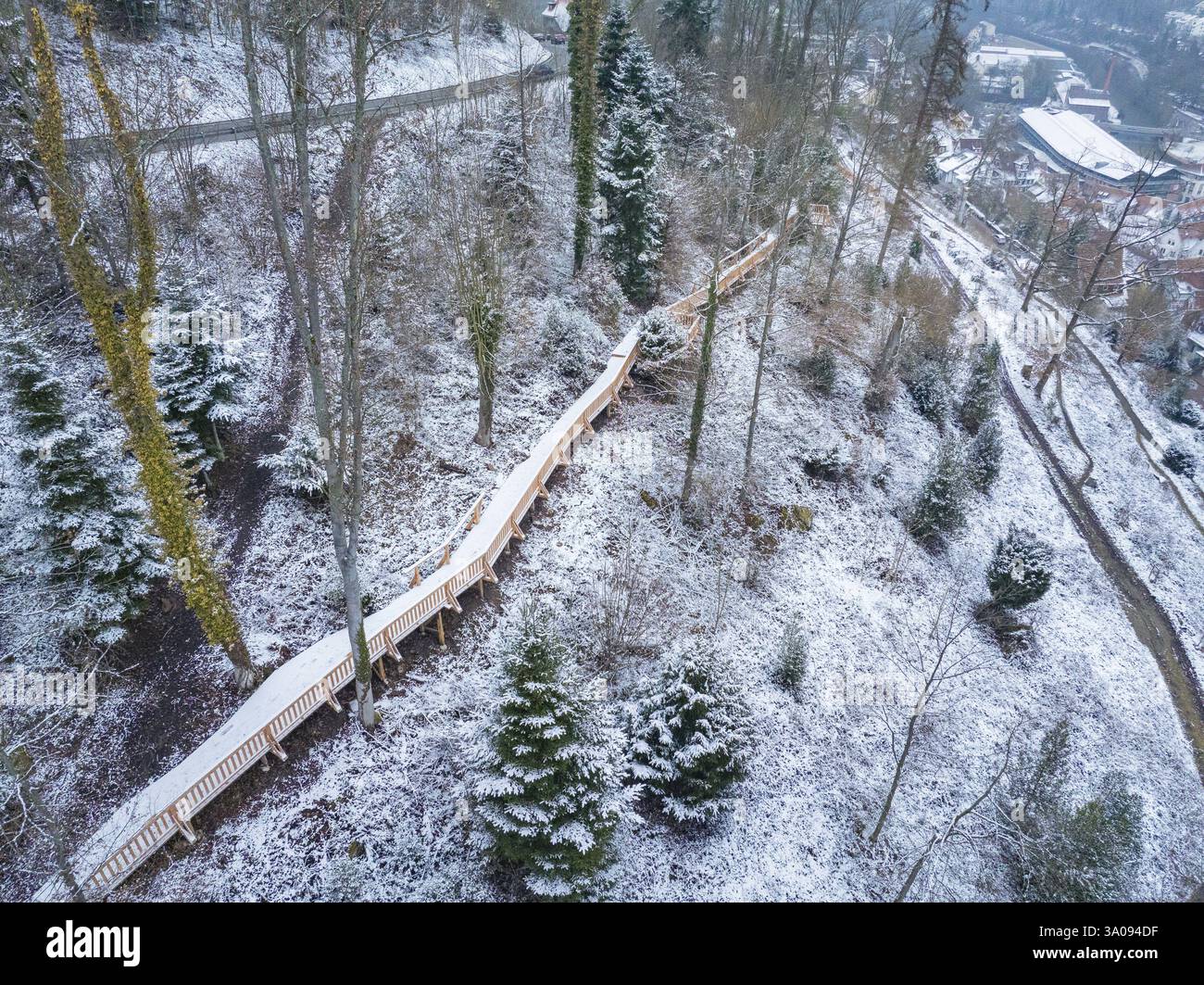 Wooden path winds through a snow-covered forest slope with trees, New ...