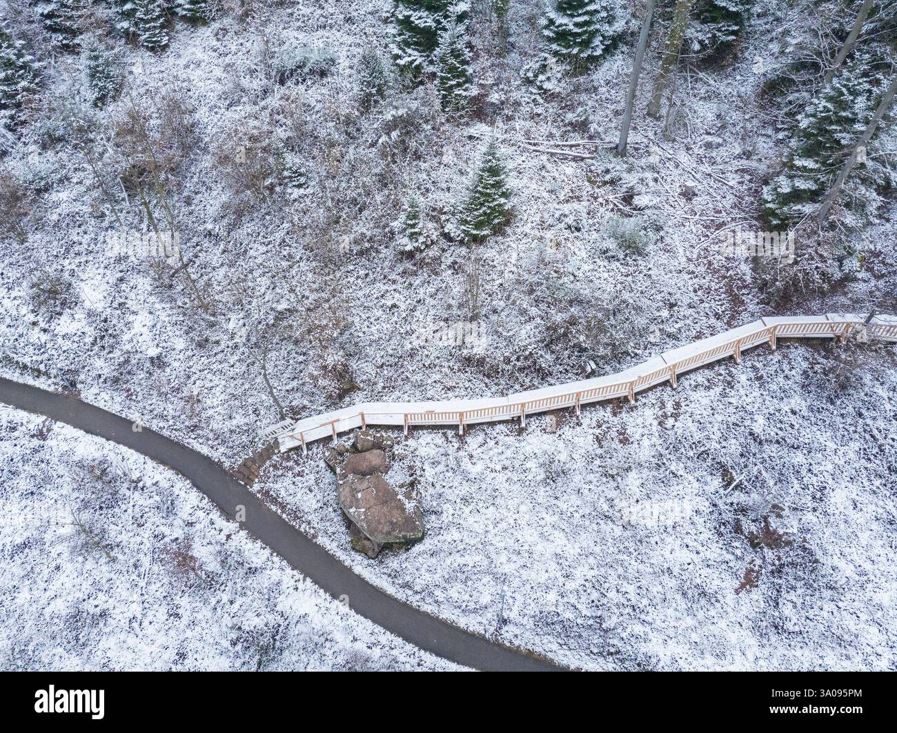 Snowy landscape with wooden path along a wooded slope, New wooden ...