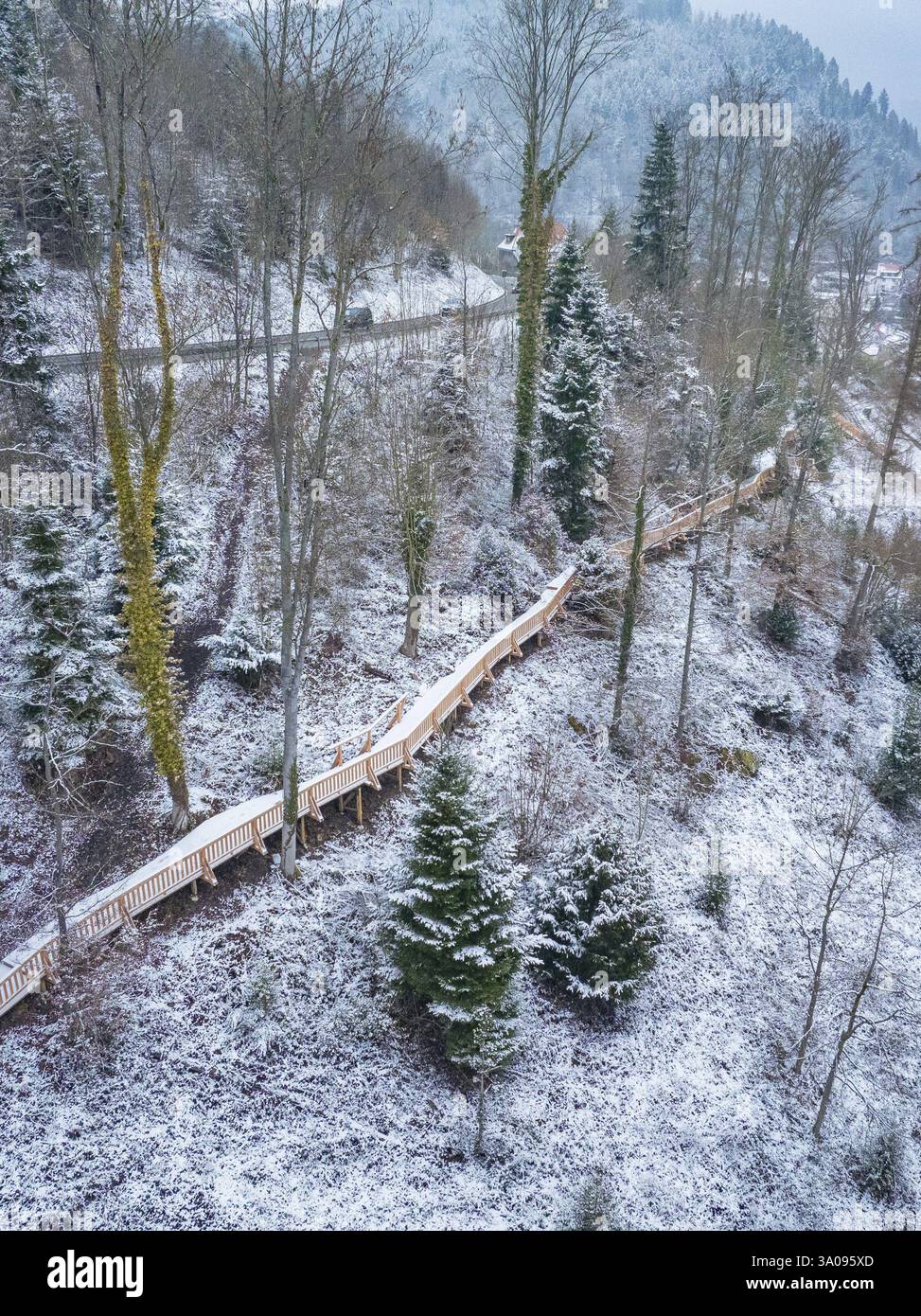 Snow-covered wooden walkway in the middle of a wintry forest, New ...
