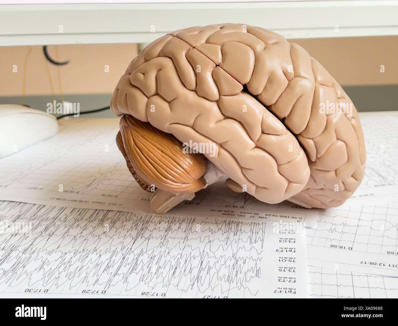 Educational model of the human brain , in the background brain waves ...