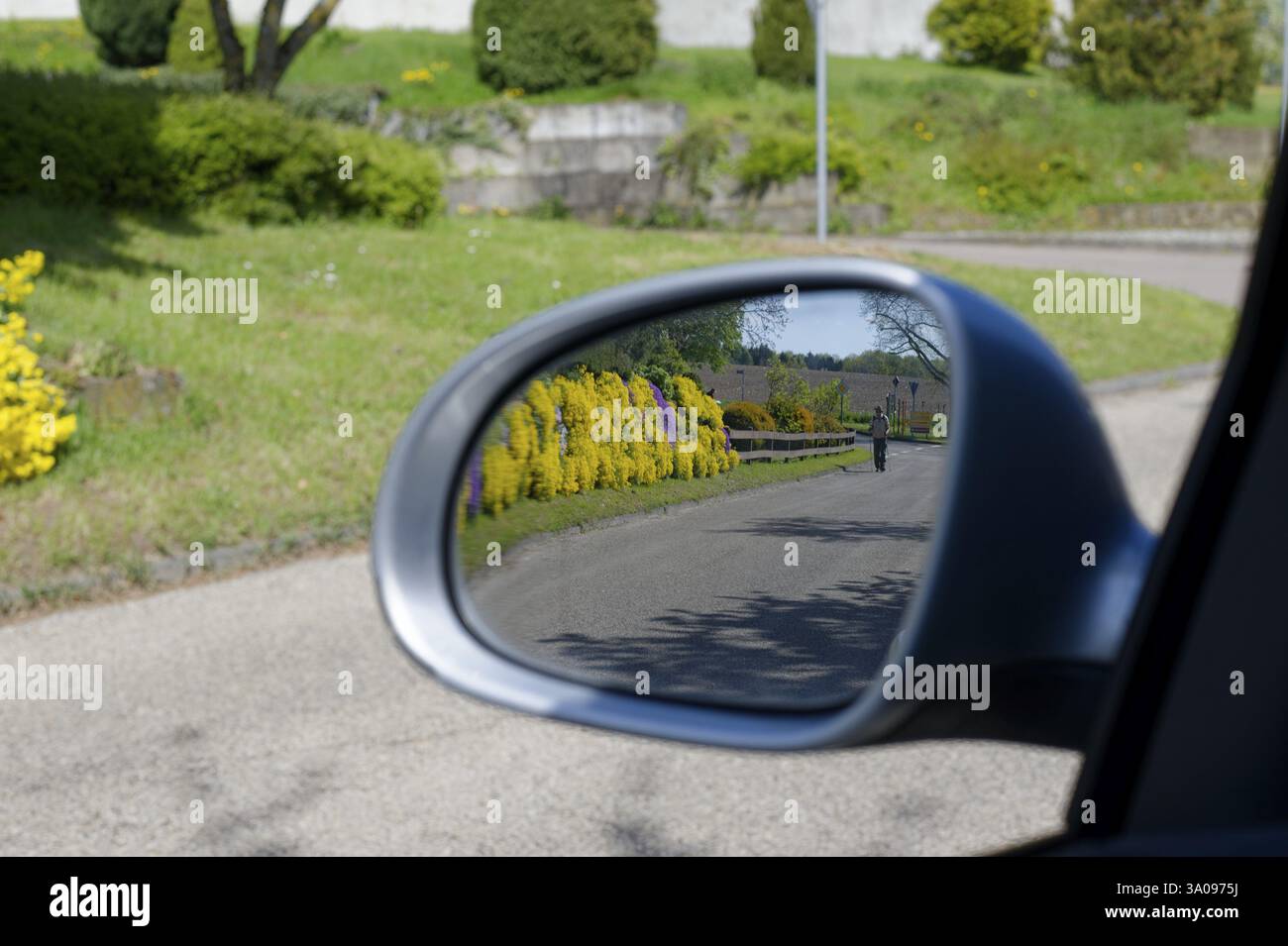 View through the car wing mirror of flowers on a wall in the town ...