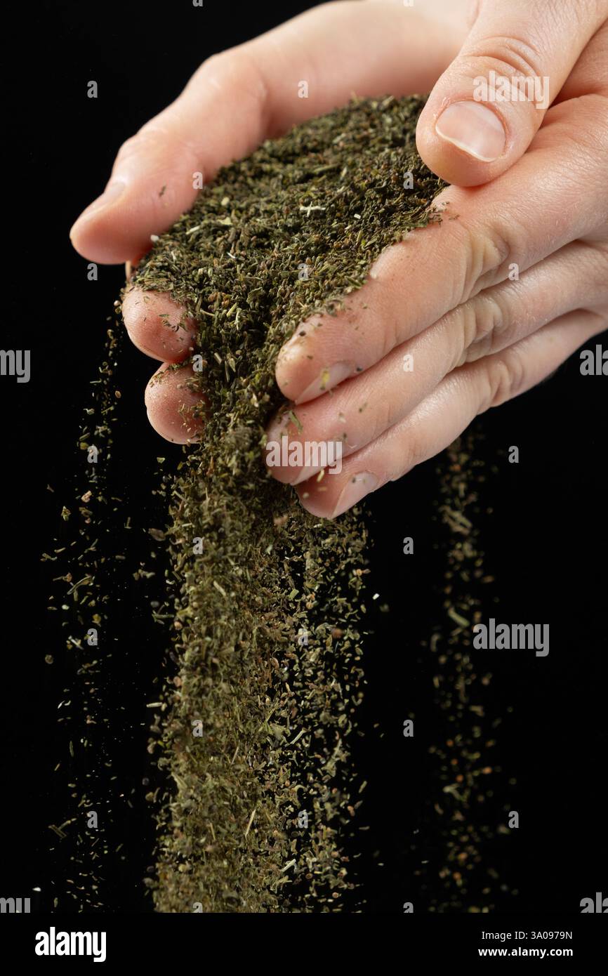 Hands pour spice ground savory, black background Stock Photo - Alamy