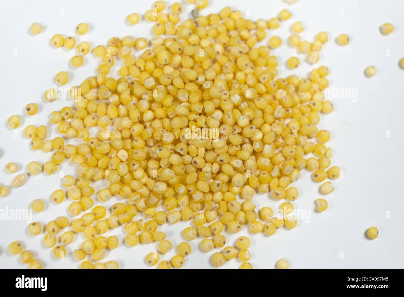 Whole millet grains on white background top view macro Stock Photo - Alamy