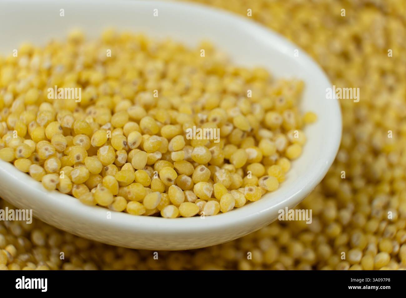 Healthy millet cereal grains macro Stock Photo - Alamy